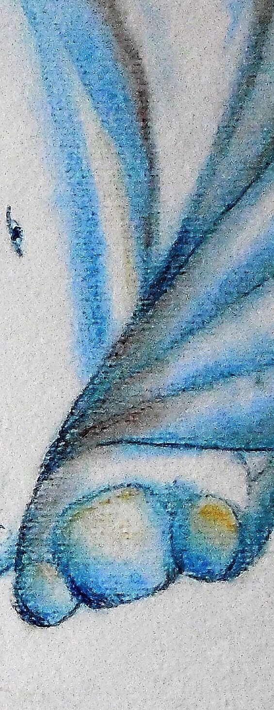 Play-With-A-Truncated-Icosahedron-Grazyn, 图画 由Grazyna Hajewski | Artmajeur