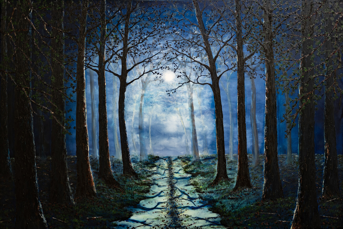 Moonlit Forest Path
