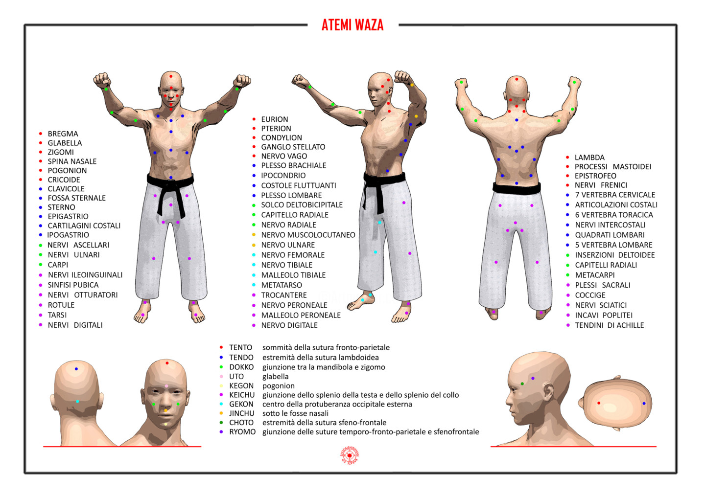 Japanese Atemi Waza Vital Points