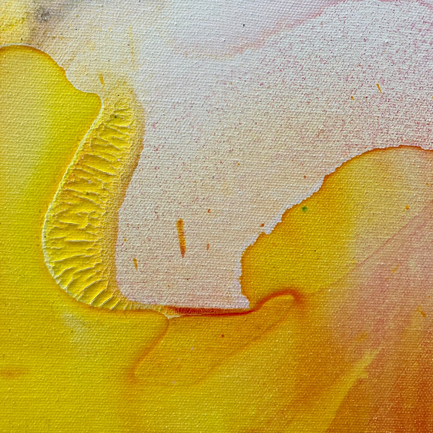 Hey Paul, Painting by Miriam Smidt | Artmajeur