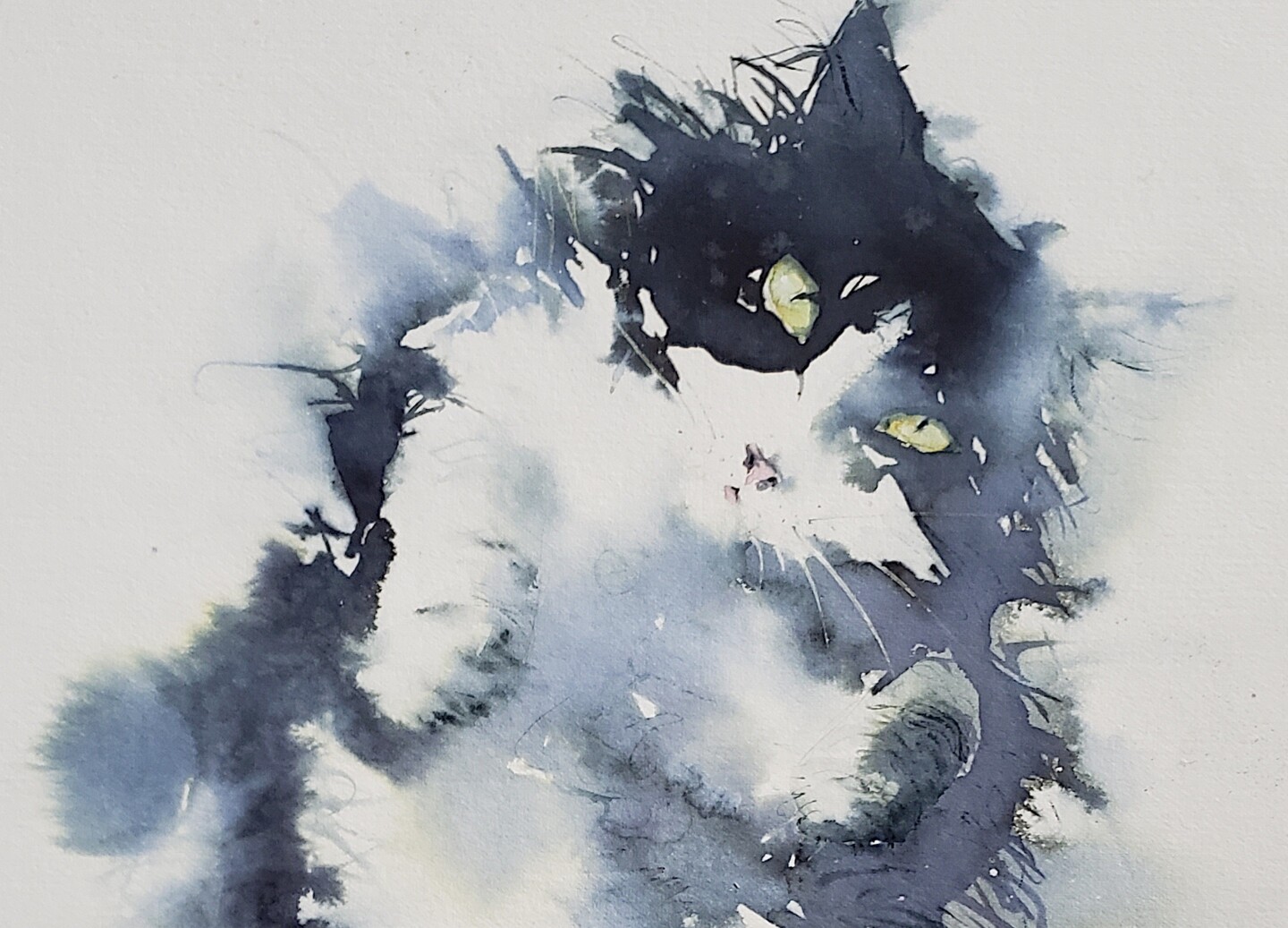 Chat Noir Et Blanc, Peinture par Muriel Mougeolle | Artmajeur