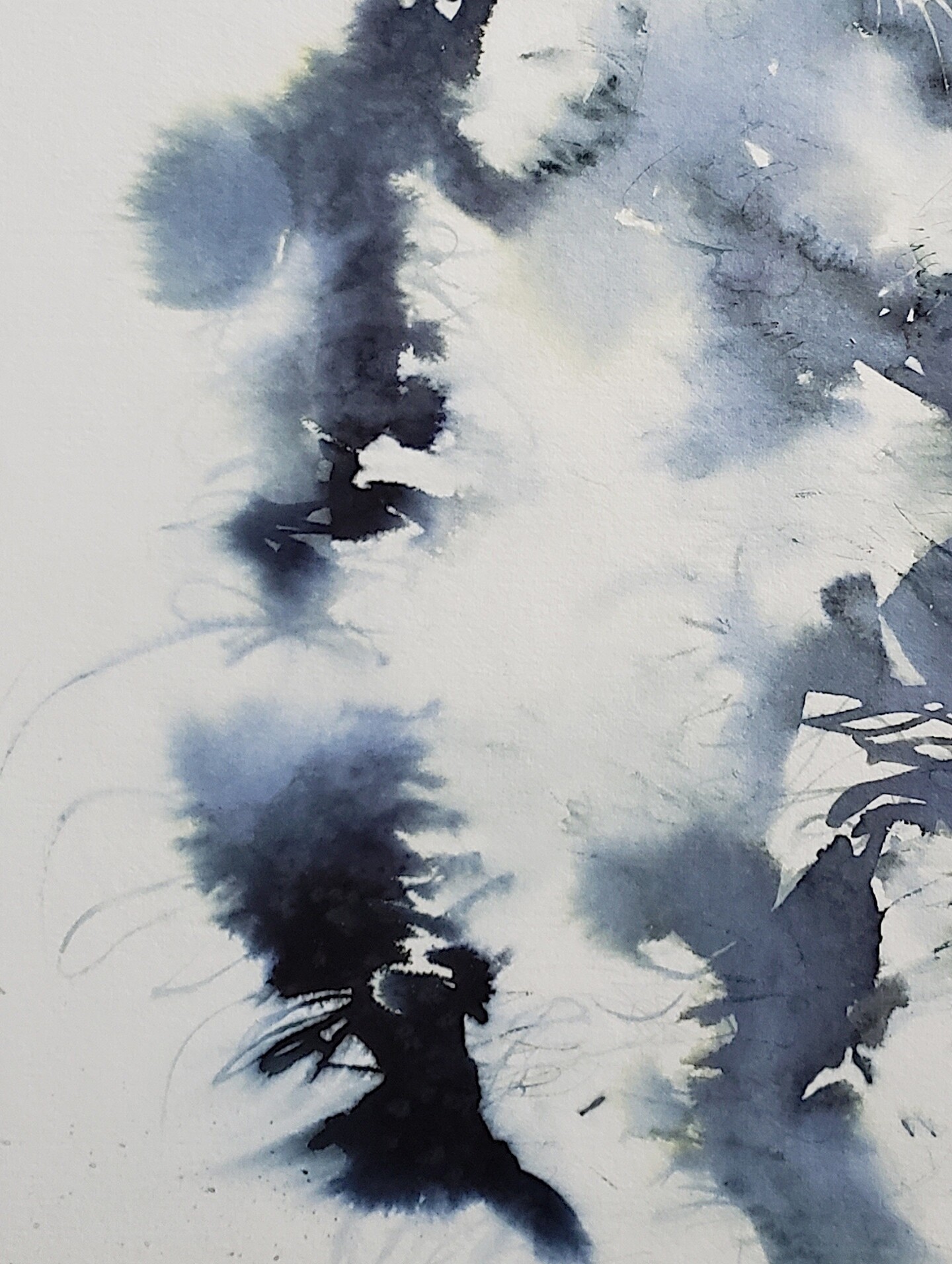 Chat Noir Et Blanc, Peinture par Muriel Mougeolle | Artmajeur