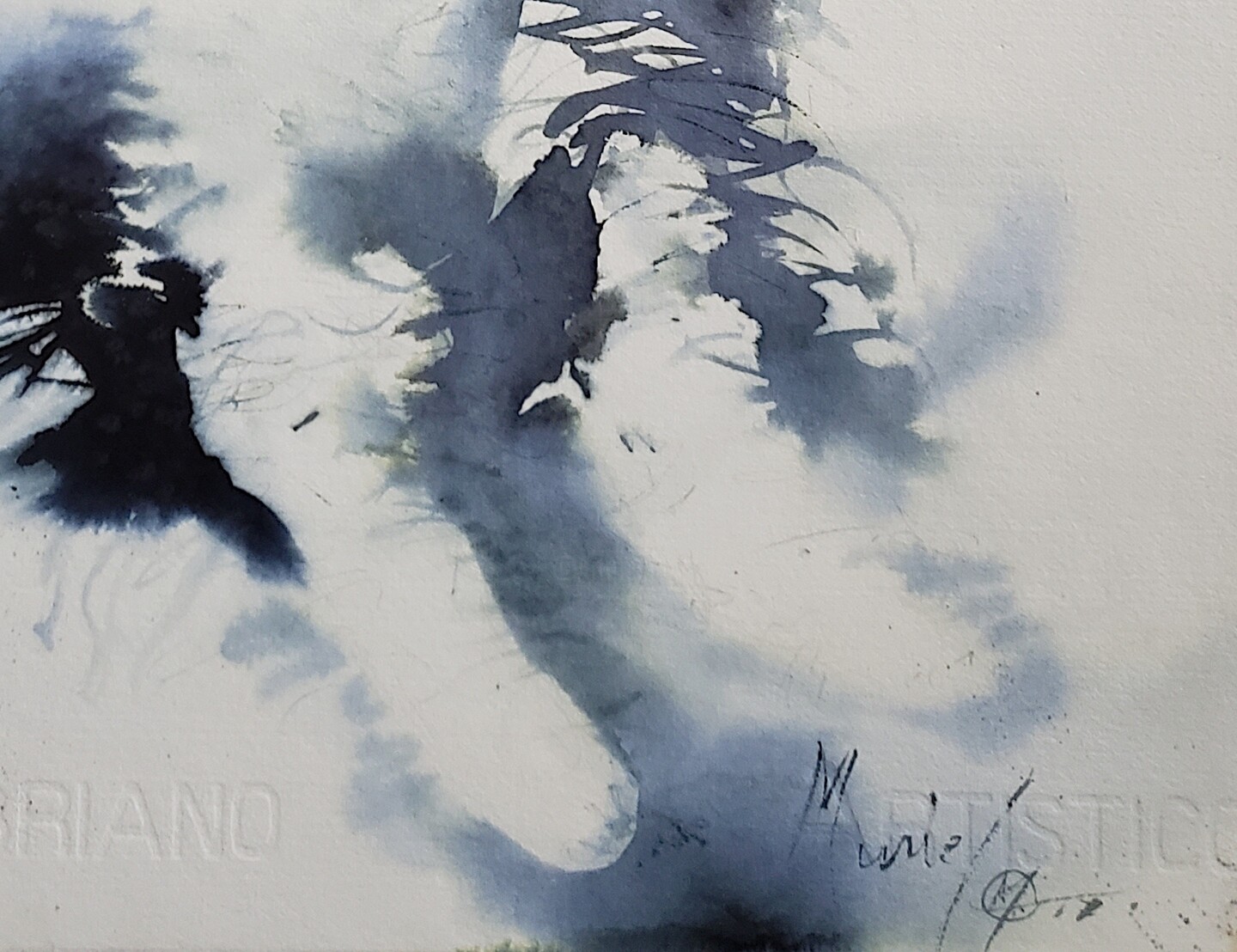 Chat Noir Et Blanc, Peinture par Muriel Mougeolle | Artmajeur