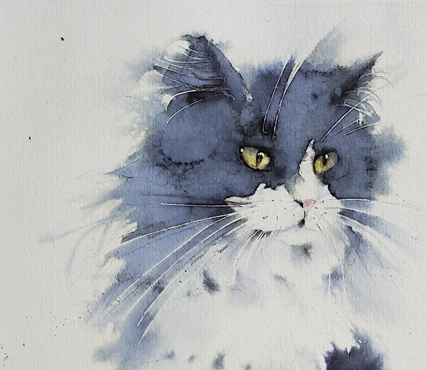 Chat Noir Et Blanc Ii, Peinture par Muriel Mougeolle | Artmajeur