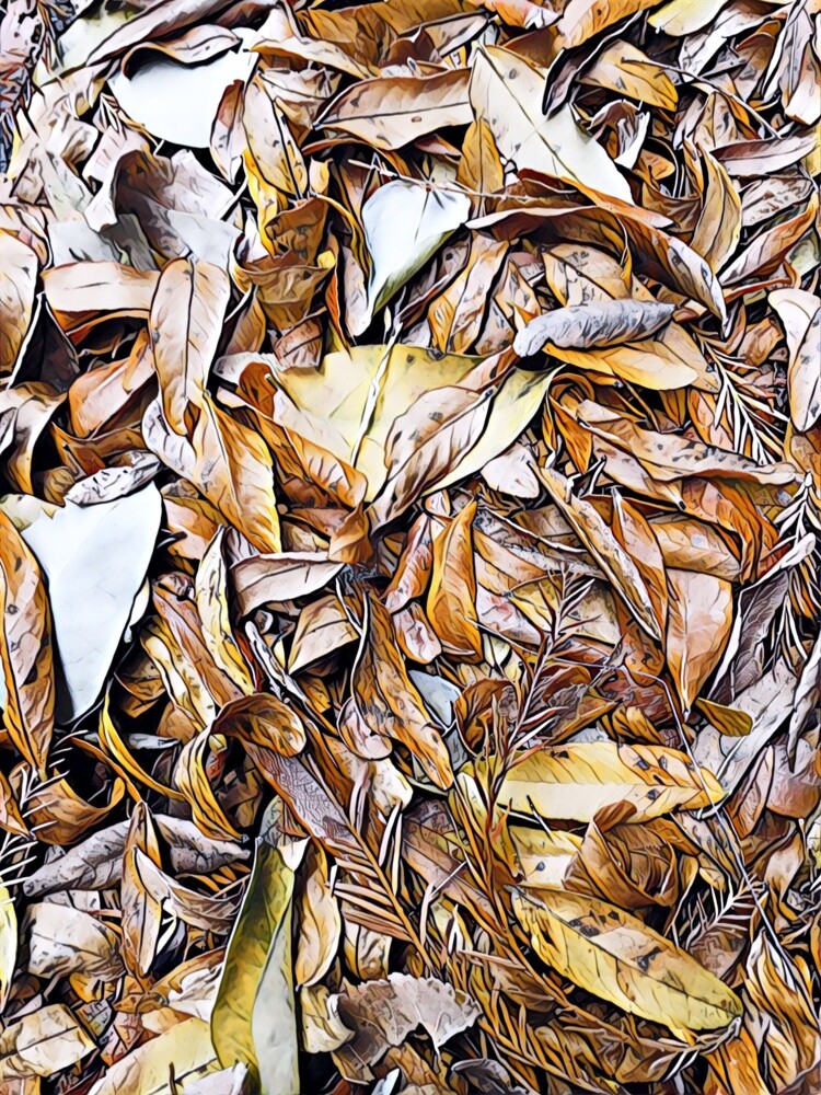 Interview | Michael Driscoll: the passion for digital photography ...