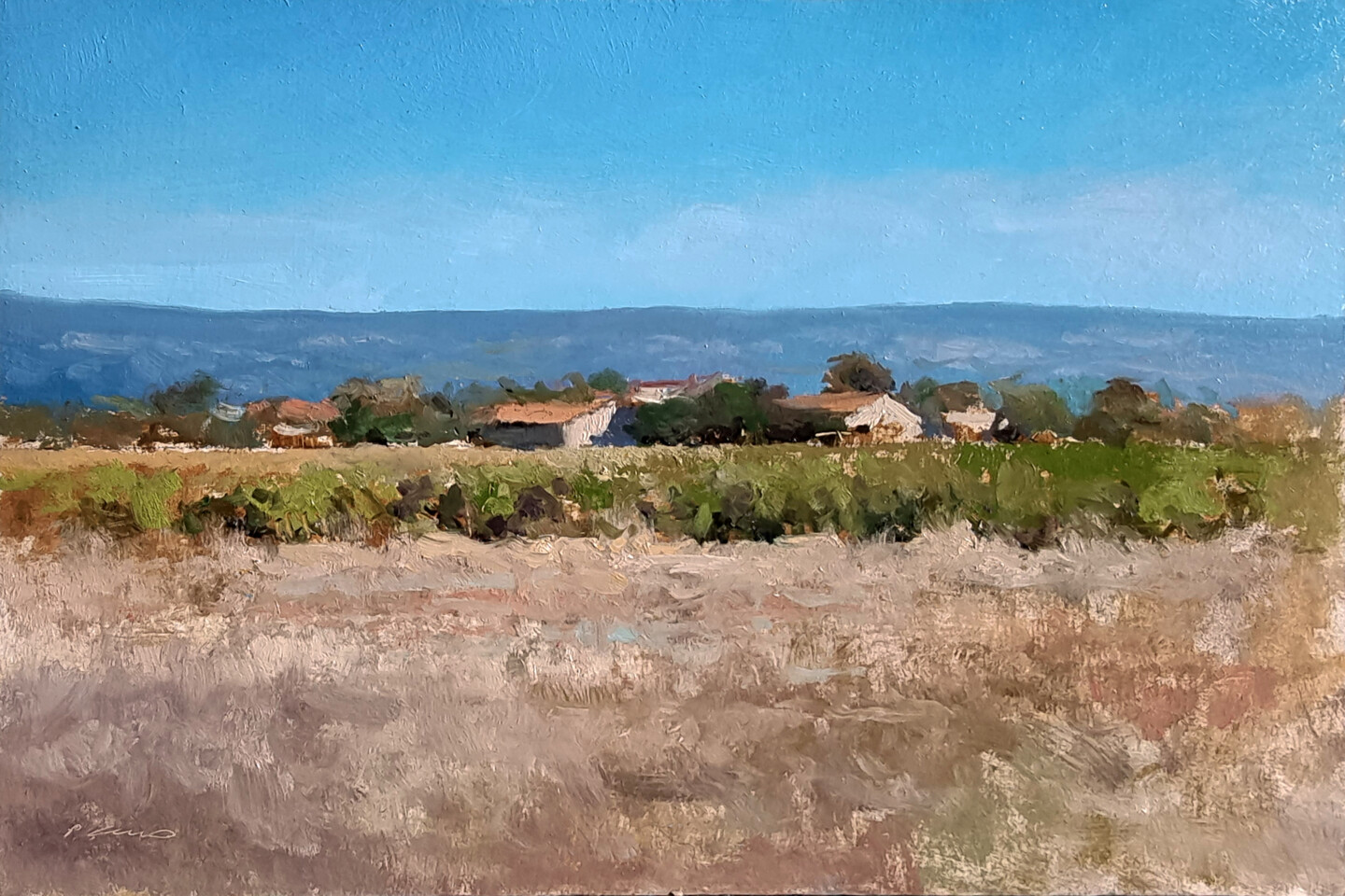 Vignes Dans Le Luberon, Peinture par Pascal Giroud | Artmajeur