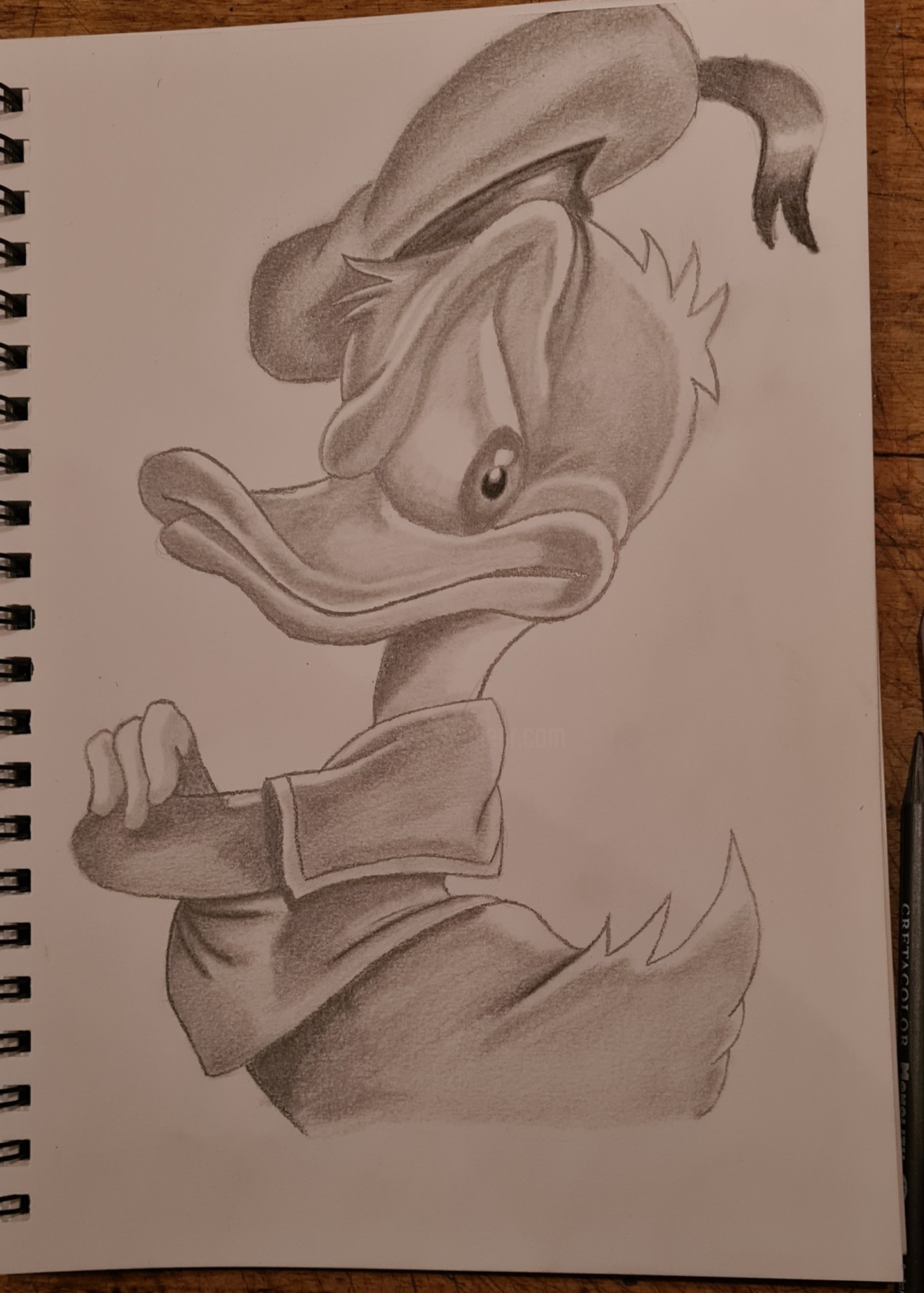 Donald Duck Drawings