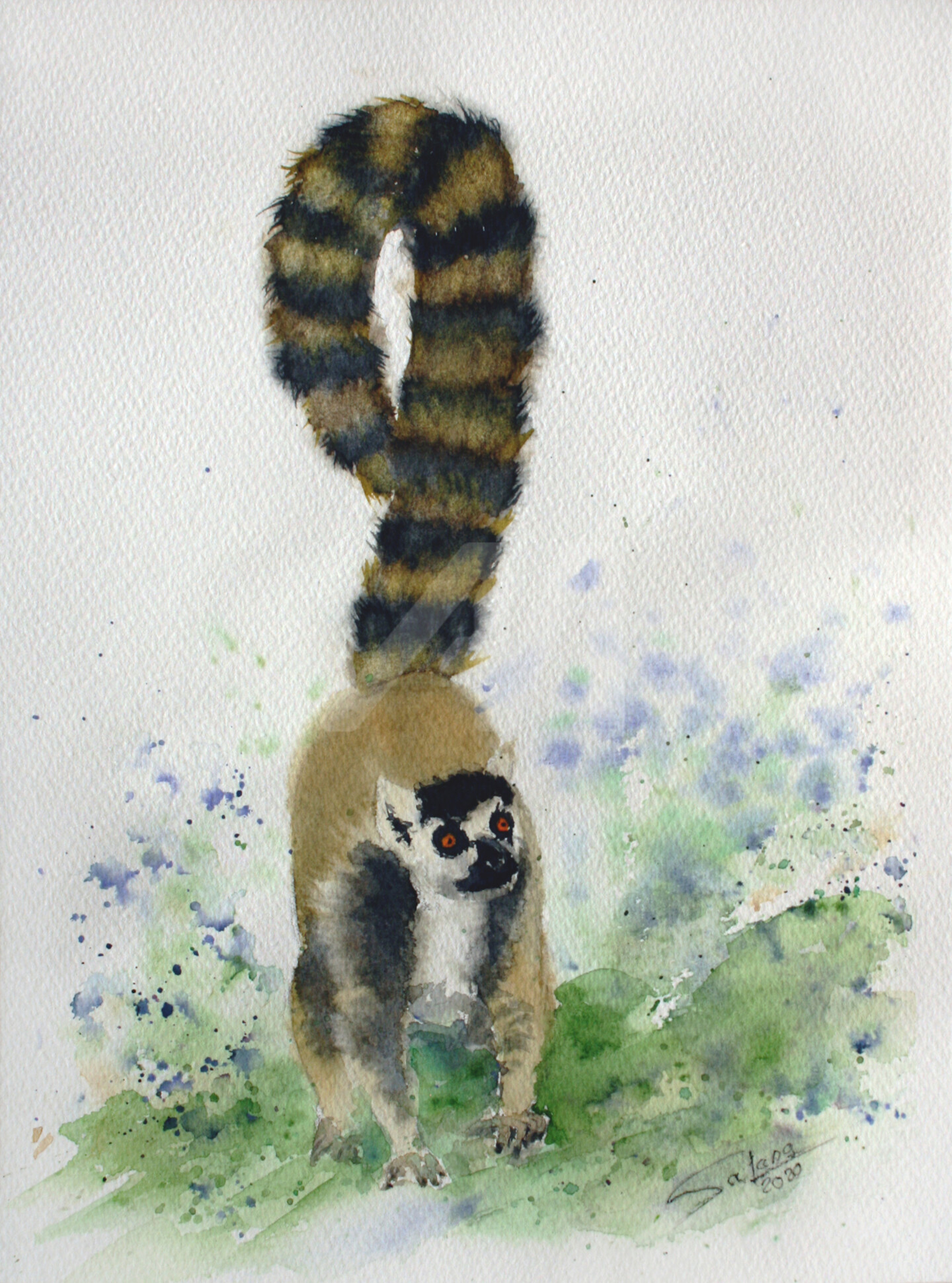 Lemur Painting