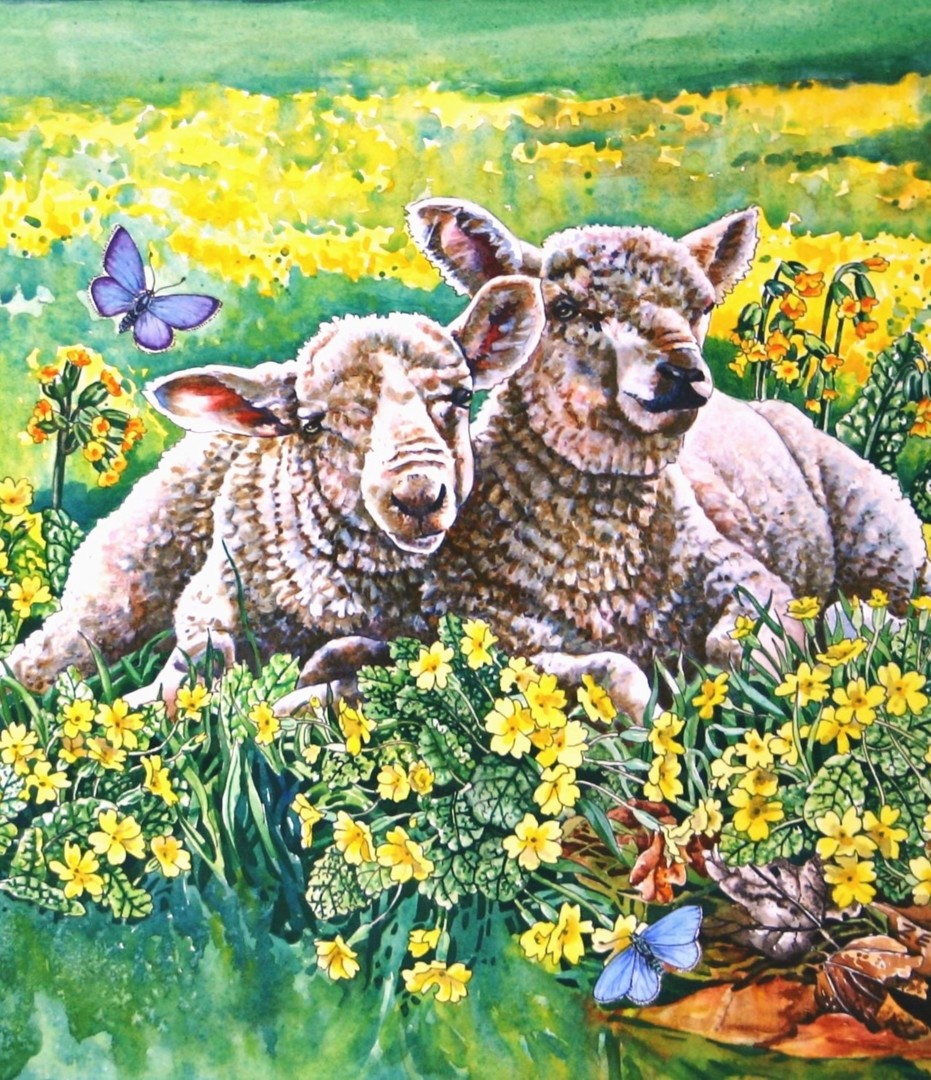 Spring Lambs, Painting by Zoe Norman | Artmajeur