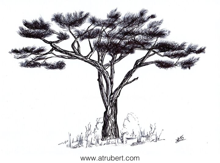 Croquis Arbre Artiste : Alexandre Truber, Drawing by A.T.6 Alexandre ...