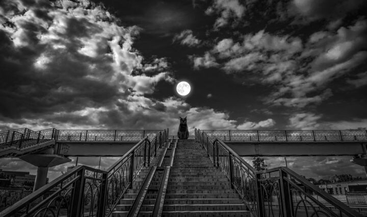 Вход Строго По Пропускам, Photography by Аркадий Смирнов | Artmajeur